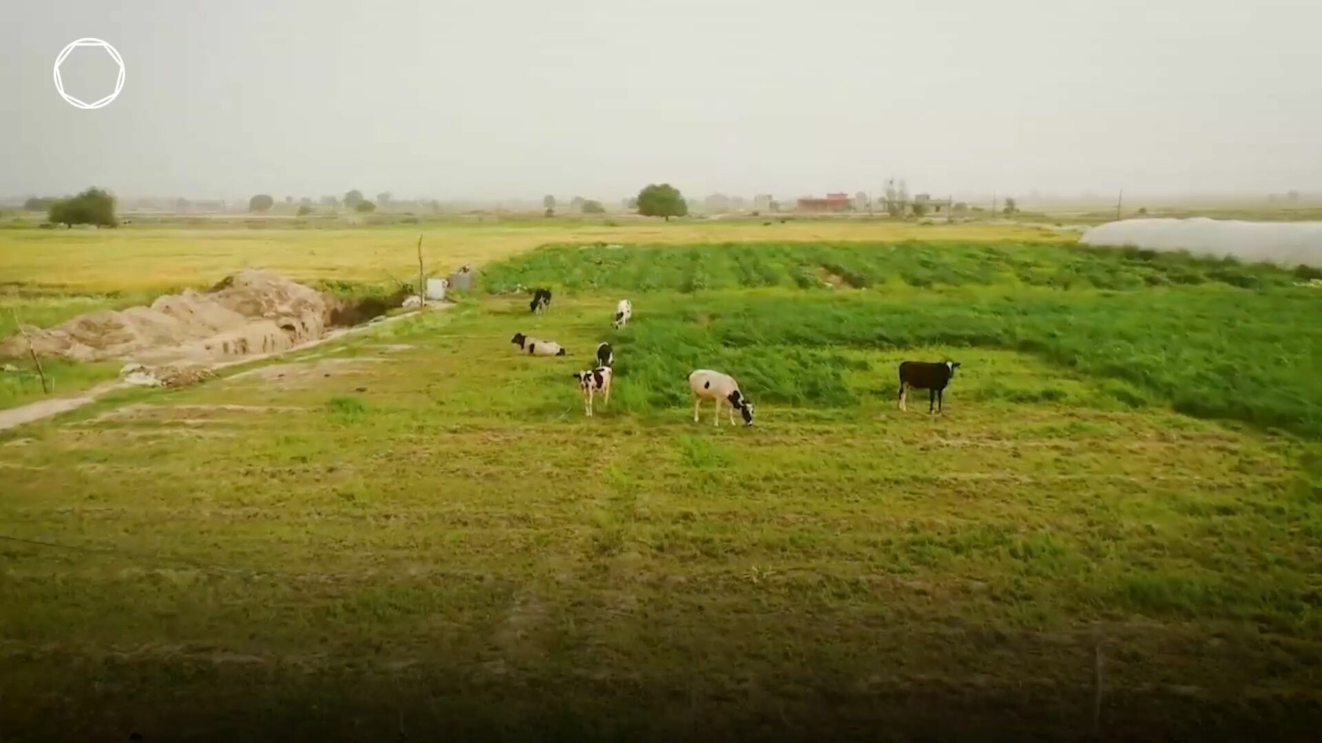 Iraq’s fields are back green and prosperous - The Global Coalition ...